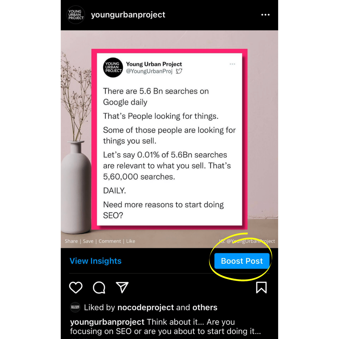 6 Types of Instagram Ads You can Run as a Beginner