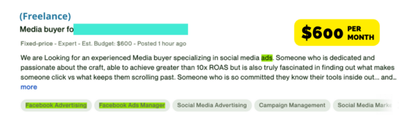 Advanced Facebook & Instagram Ads Course: [Updated for 2025]