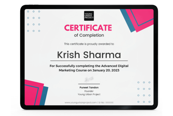 Advanced Digital Marketing Course Online-Young Urban Project