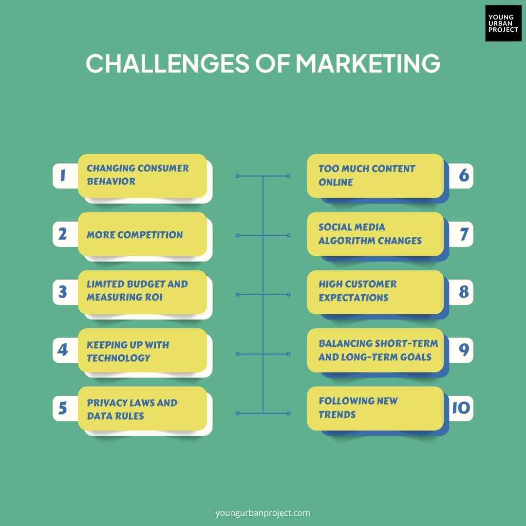 Importance of Marketing in Business & Ways to Track Its Success