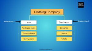 What is a Product Line? Examples, Importance and Strategies