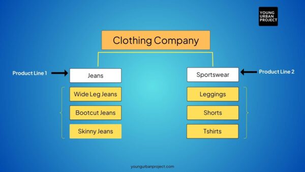 What is a Product Line? Examples, Importance and Strategies