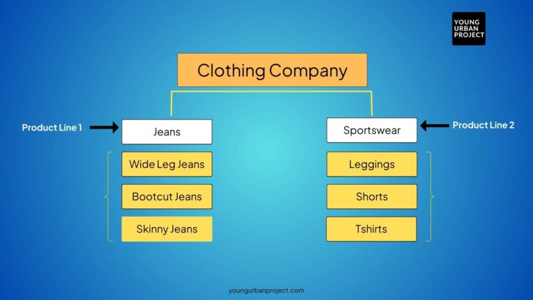 What is a Product Line? Examples, Importance and Strategies