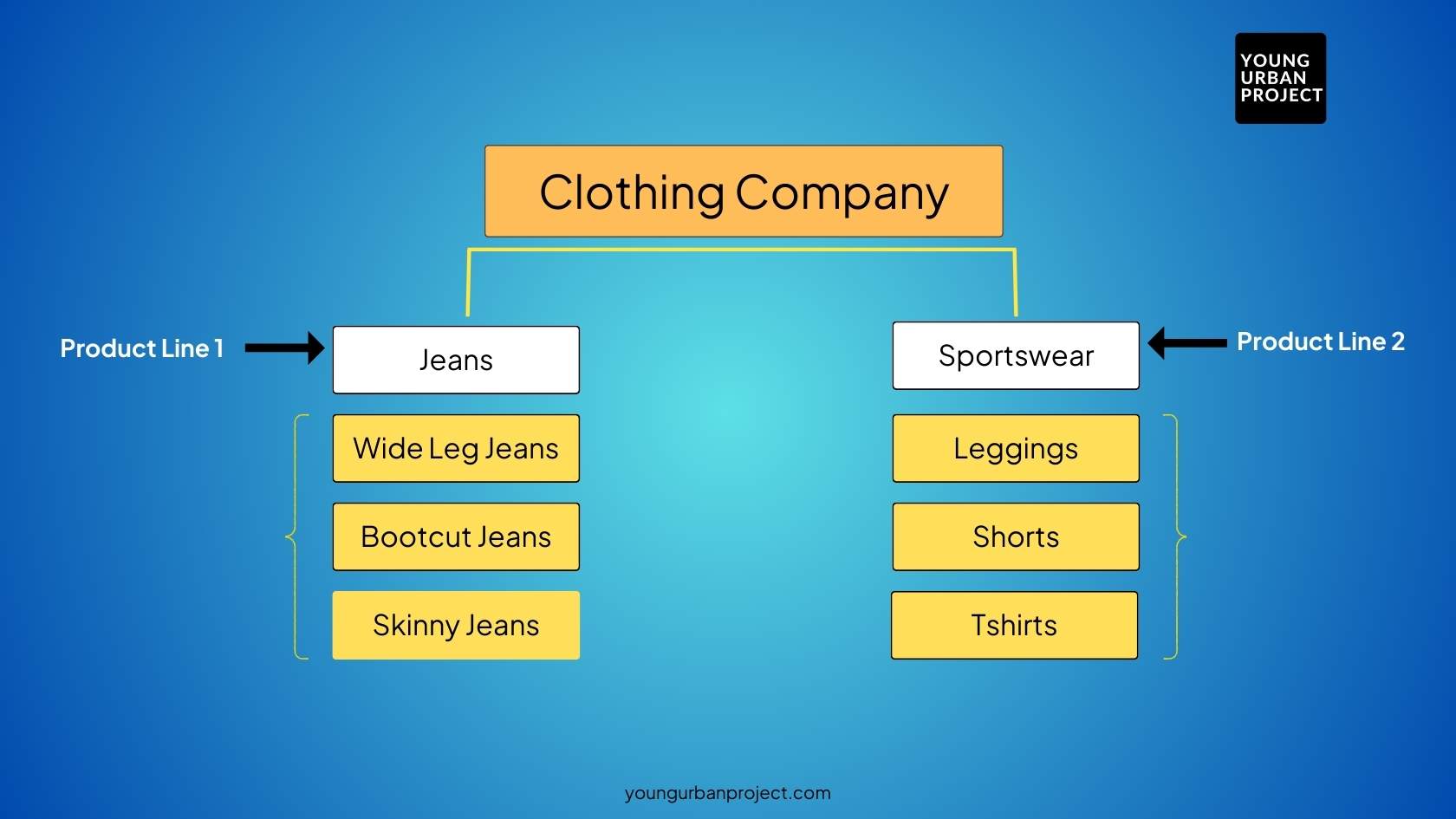 What is a Product Line? Examples, Importance and Strategies