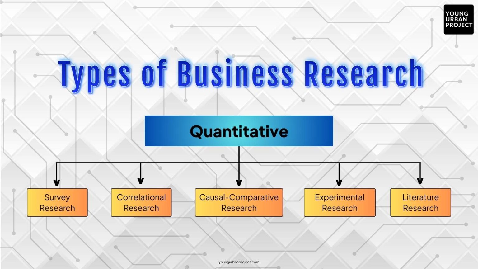 Business Research Methods: Definition, Types, and Examples