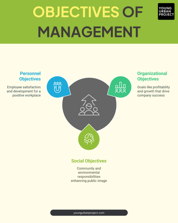 What is Management? Levels, Importance and Objectives