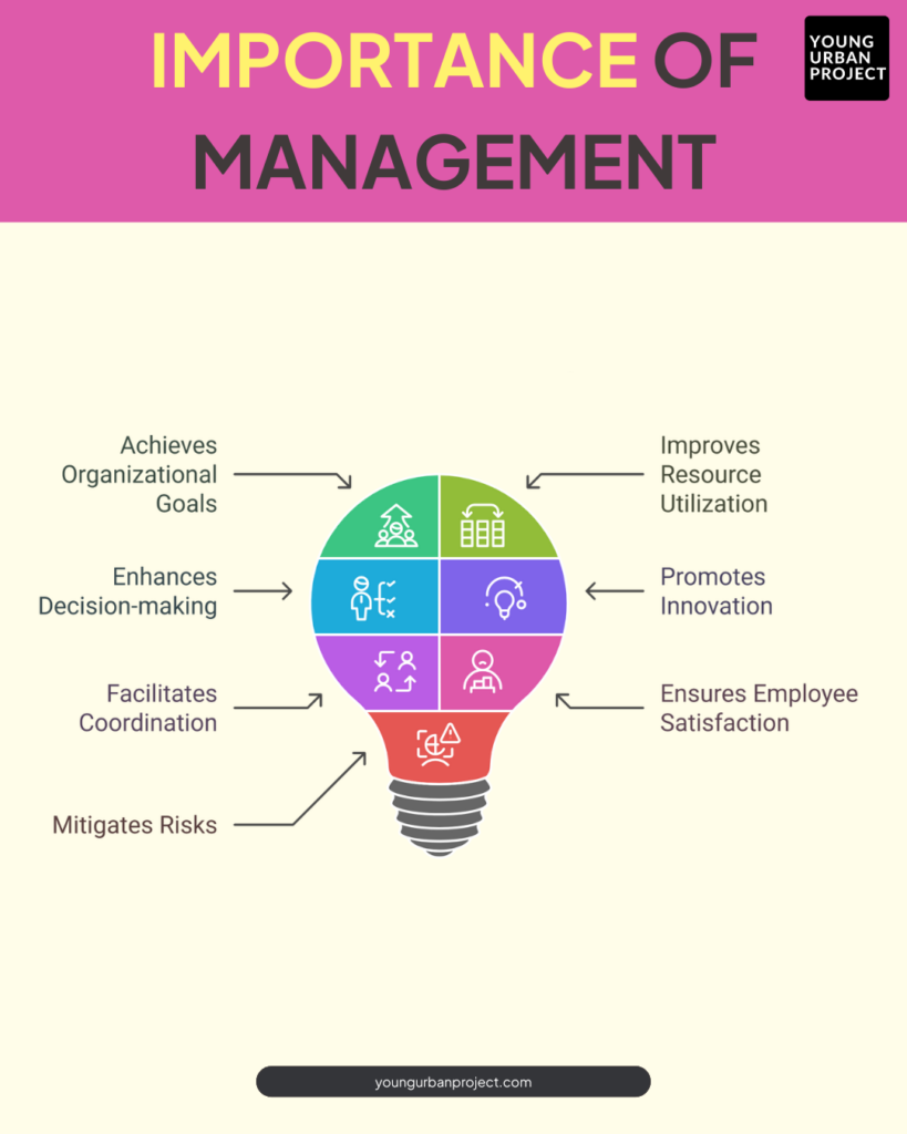 What is Management? Levels, Importance and Objectives