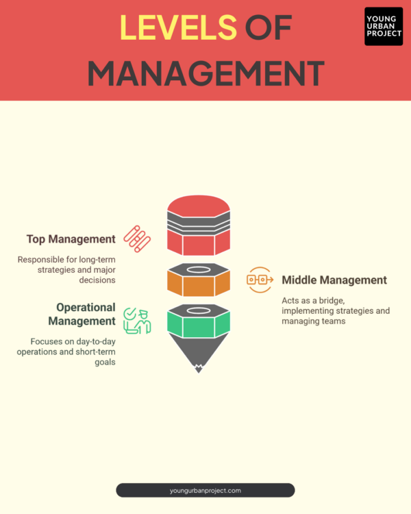 What is Management? Levels, Importance and Objectives
