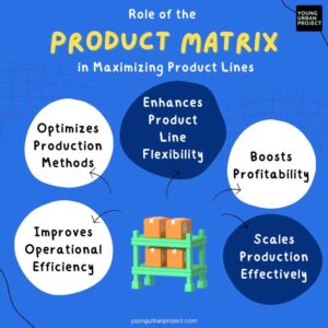 What is the Product Process Matrix? A Comprehensive Guide