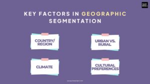 12 Types of Market Segmentation: Examples and Best Practices