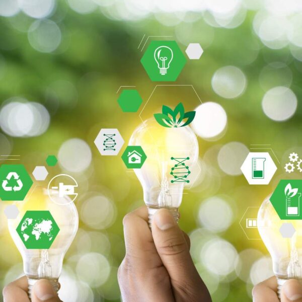 Green Marketing Examples: 15 Brands Leading Sustainability