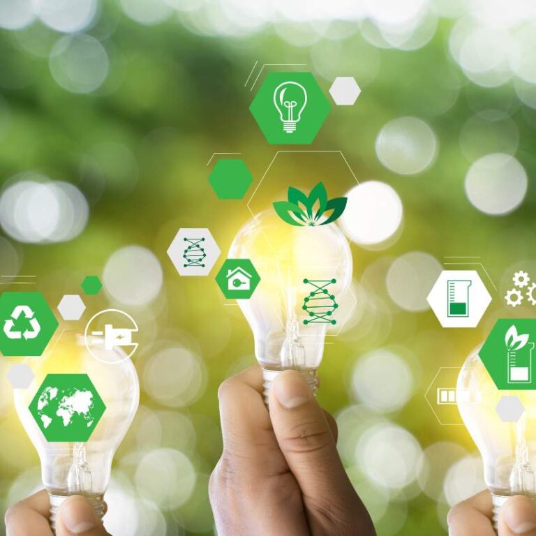 Green Marketing Examples: 15 Brands Leading Sustainability