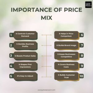 What Is Price Mix? Importance, Examples and Strategies