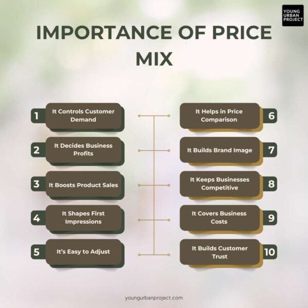 What Is Price Mix? Importance, Examples and Strategies