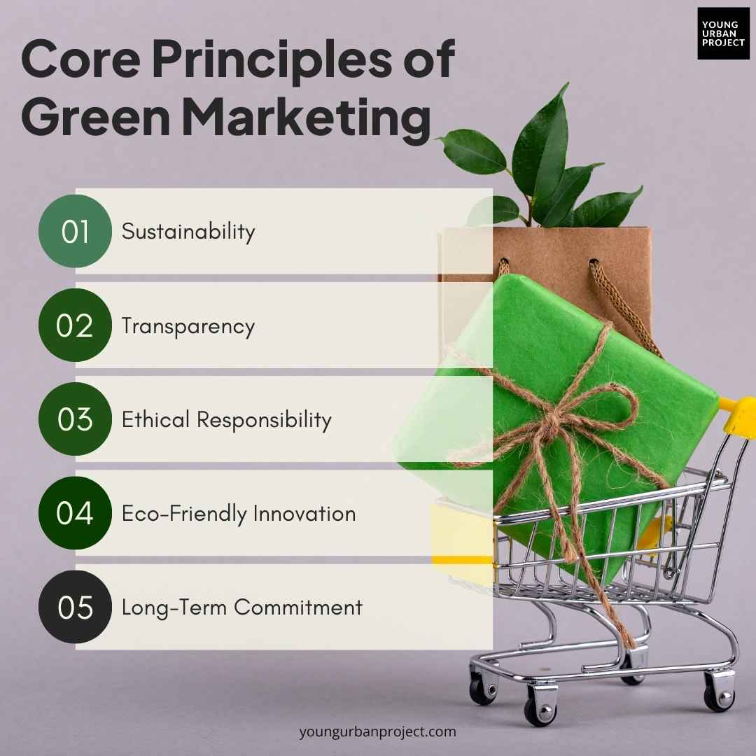 What Is Green Marketing? Strategies, Case Studies, Future Trends