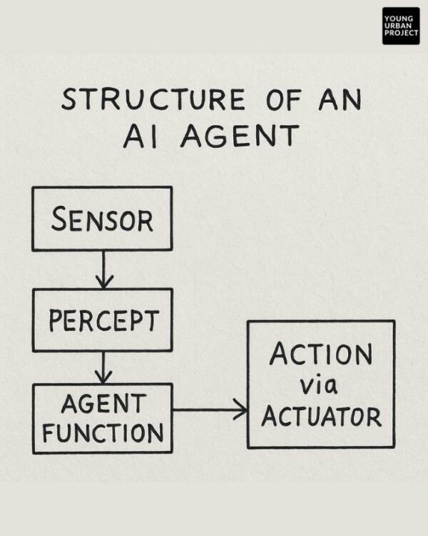 Structure of Agent in AI: Types and Working in 2025