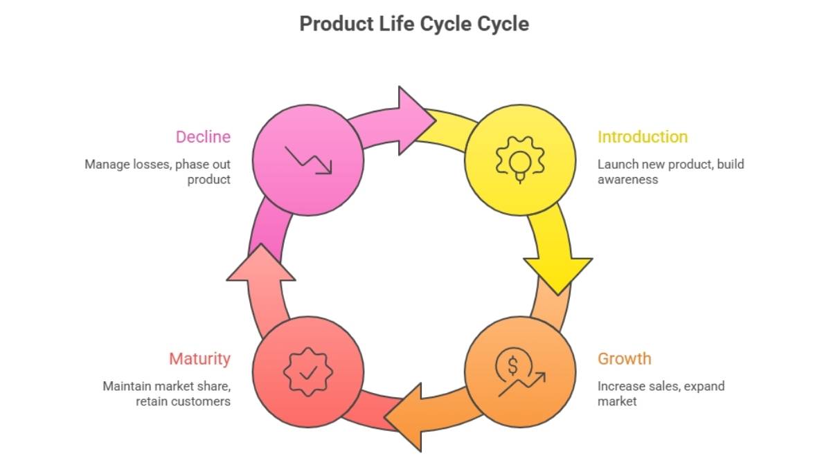 Product Life Cycle in Marketing: Stages & Strategies (2026)