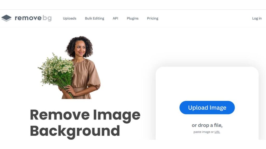 13 Best AI Background Remover Tools in 2026